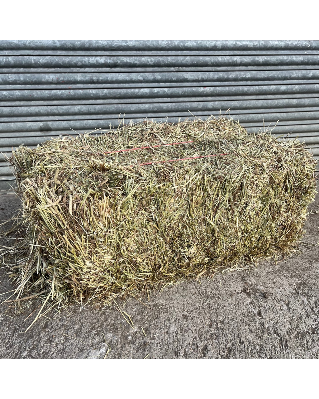 Old Manor Compressed Timothy Hay – Full pallet (40 bales)